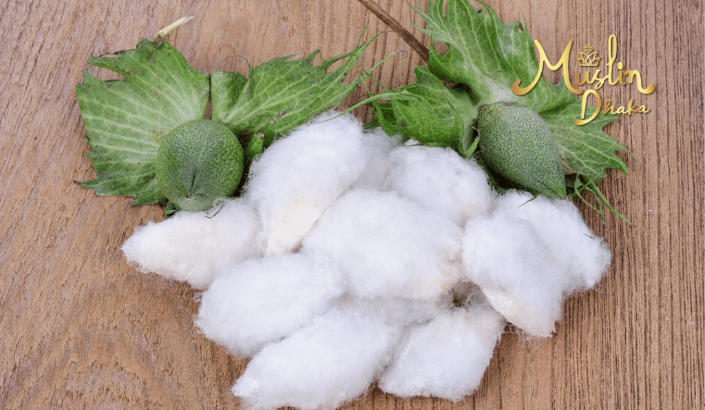 The Myth of Muslin: Epic Journey of Muslin in 2022 - Muslin Dhaka