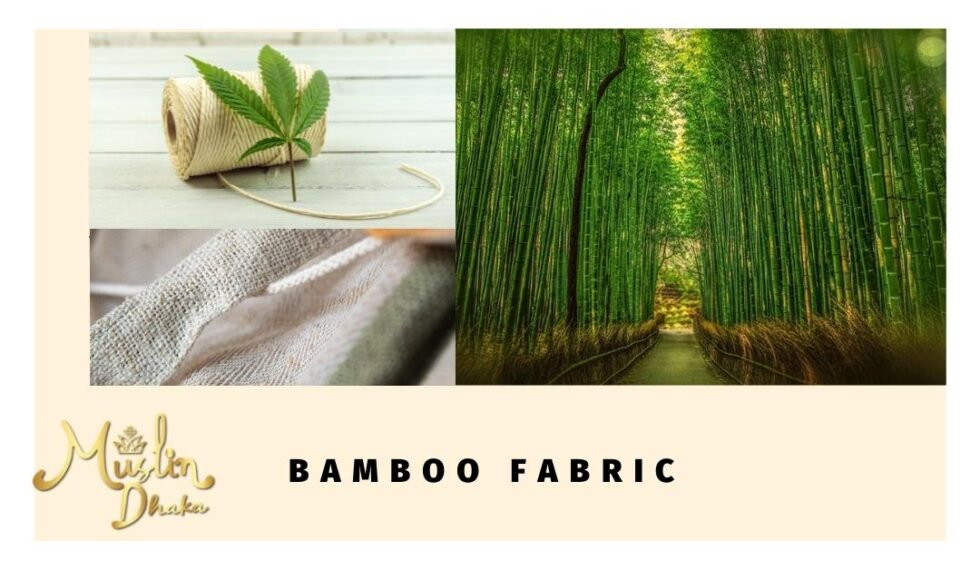 Bamboo Fabric: The sustainable Super Fabric in 2022 - Muslin Dhaka