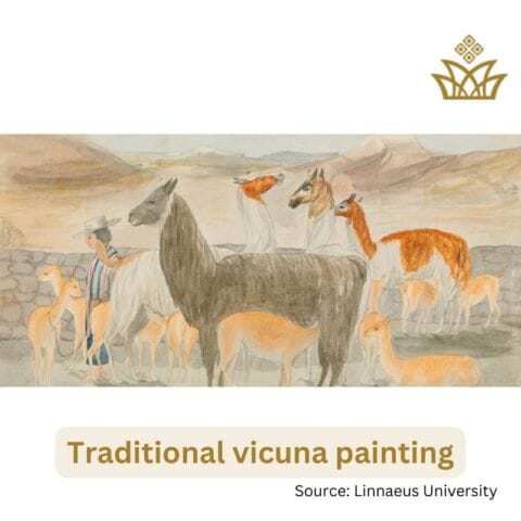 Luxury Vicuna Wool: The Soft Gold of Andalean Mountains 2025