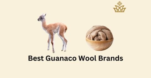 7 Best Guanaco Wool Brands: Explore Your Favorite One!