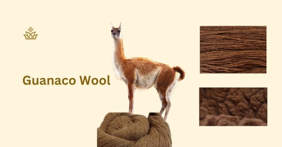 Guanaco Wool: A Timeless Luxury Fiber That Can Win You 2025