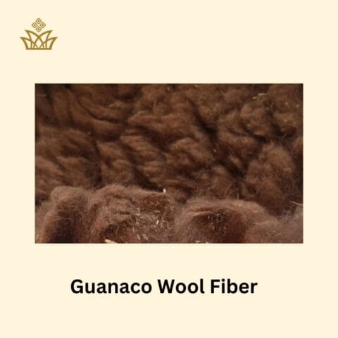 Guanaco Wool: A Timeless Luxury Fiber That Can Win You 2025
