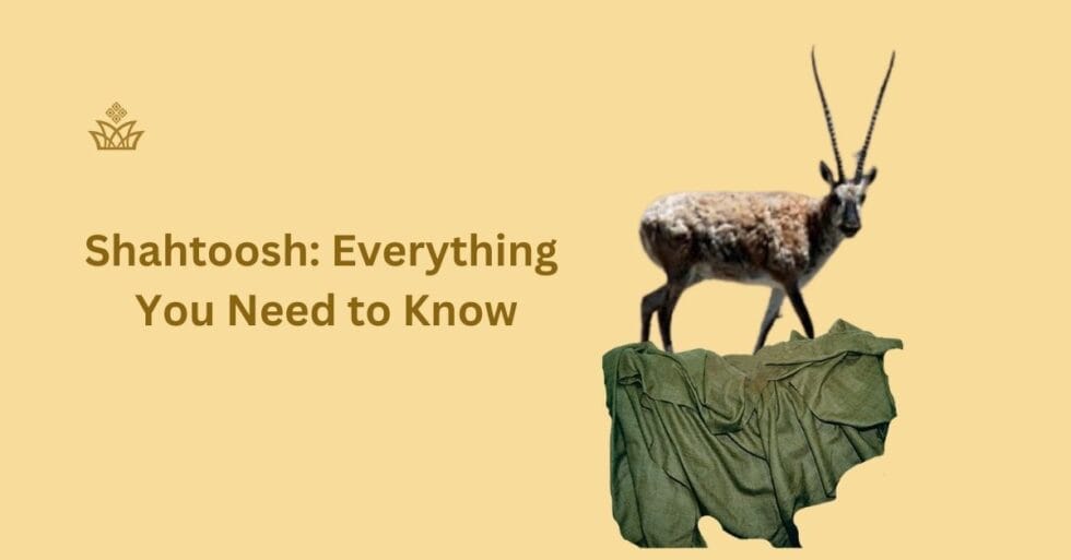 Shahtoosh: The Most Expensive Wool I Wish You Never Have 1!
