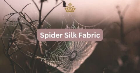 Golden Spider Silk Fabric: Powerful Fabric Ever Made 2025