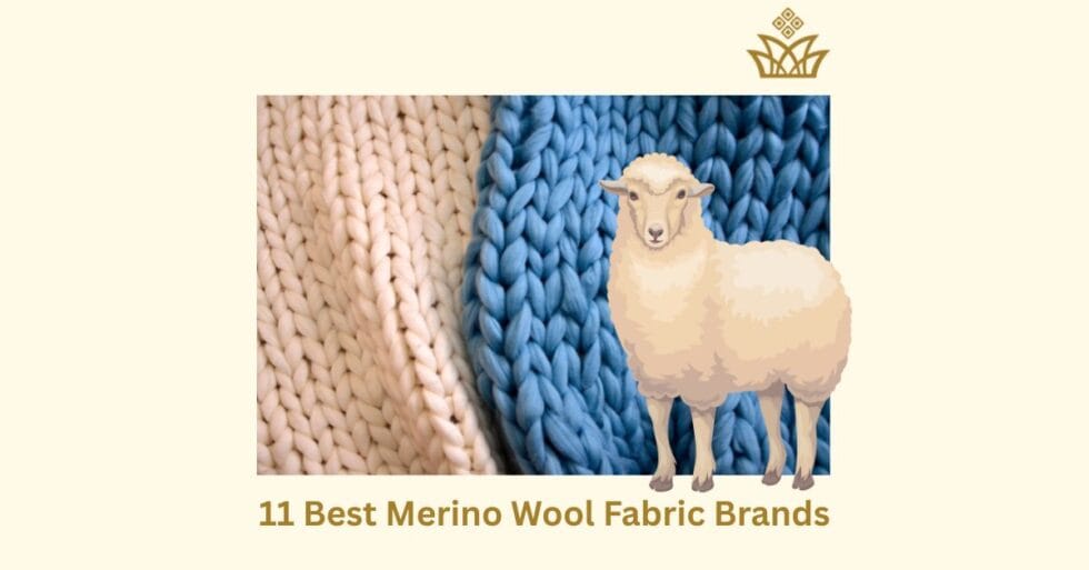 11 Best Merino Wool Brands for You in 2026