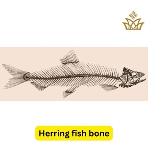 Awesome Herringbone Fabric: History, Construction, Traits, Uses and ...